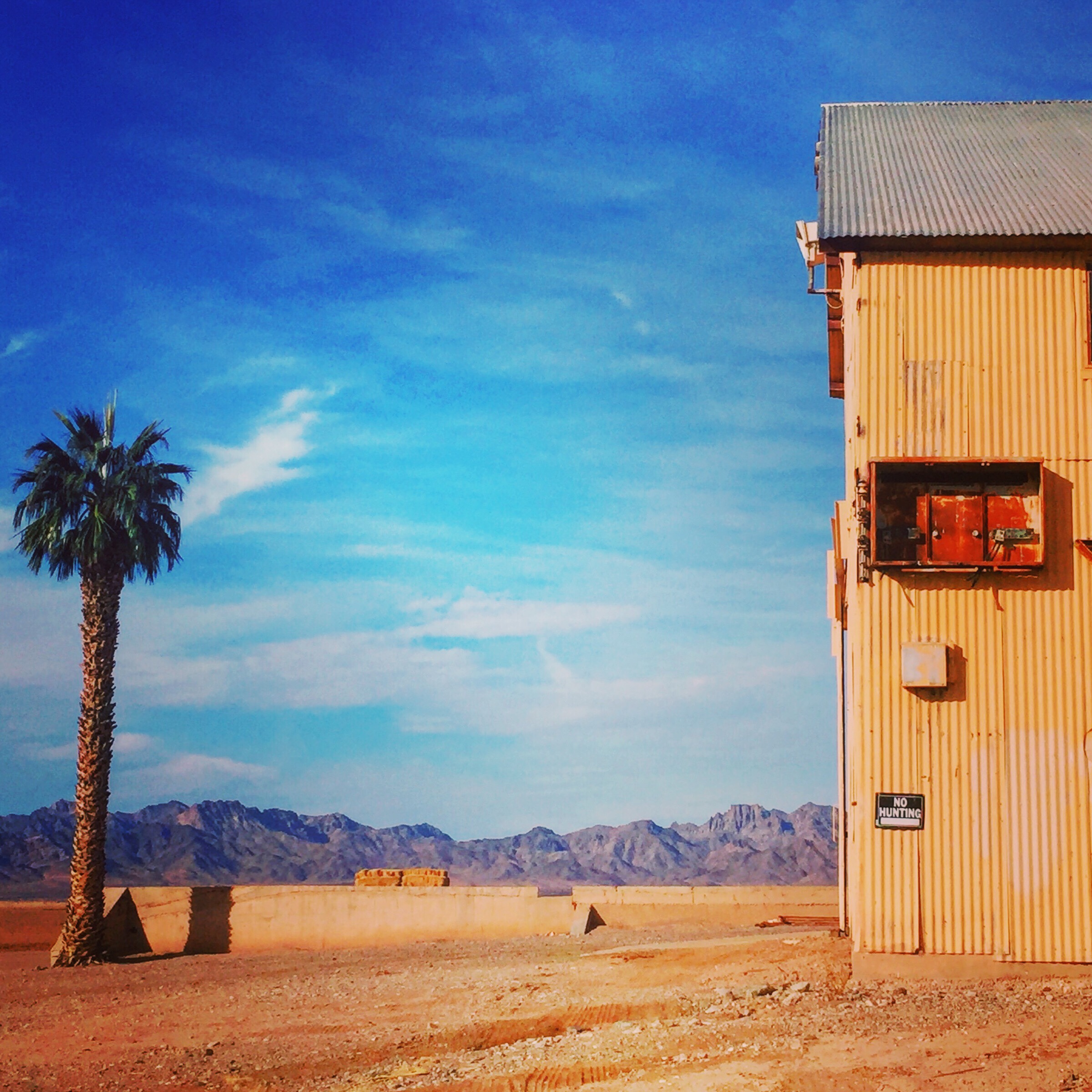 Ring Out Old Shapes of Foul Disease. – Joyce McCluskey Photography