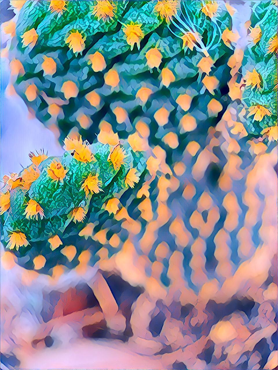 The Second Half Of My Life Will Be Black – Joyce McCluskey Photography