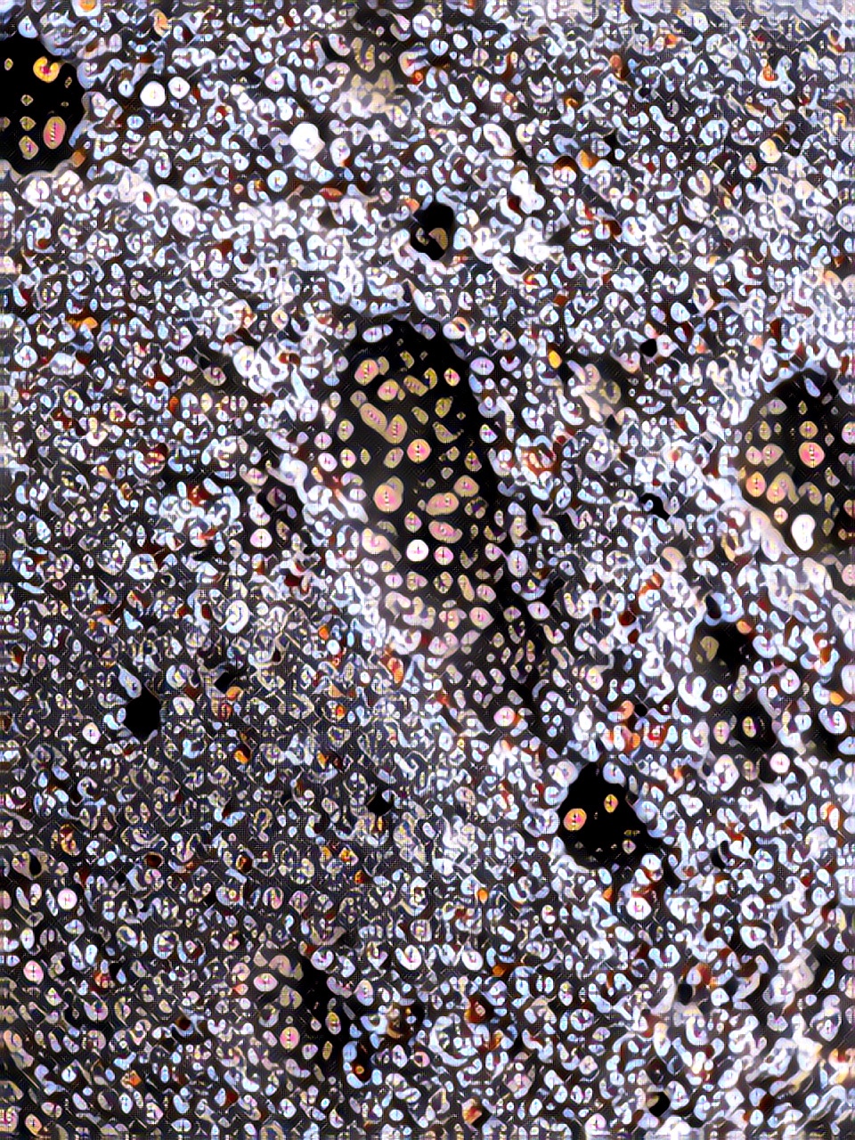 If You Have Time To Chatter, Read Books – Joyce McCluskey Photography