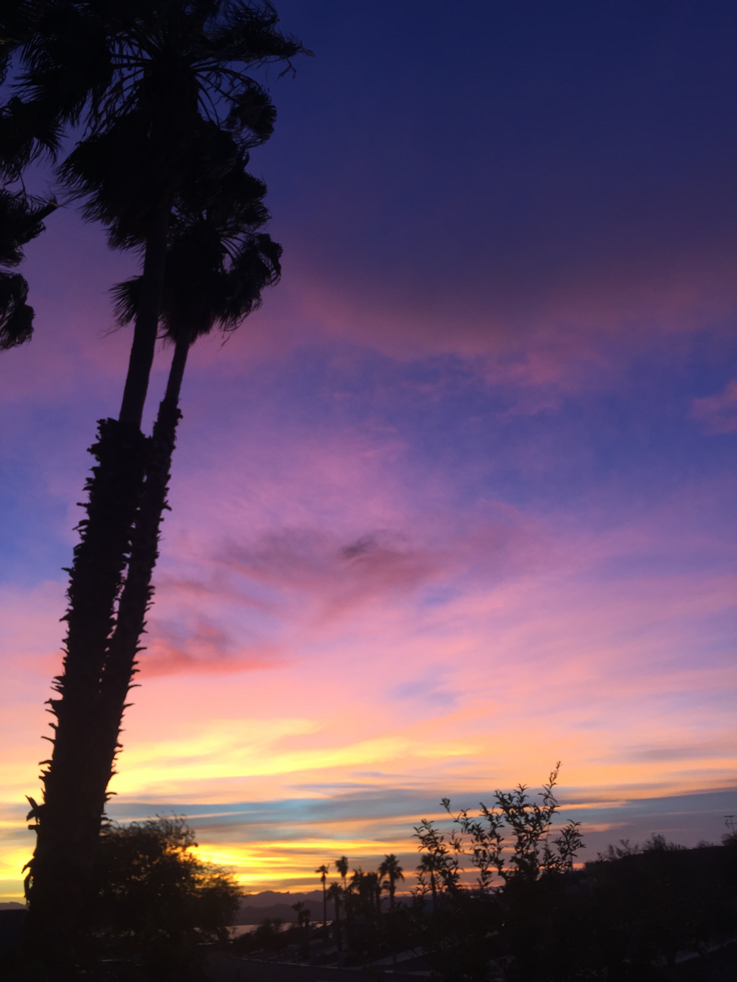 You Have To Be Bashed About A Bit – Joyce McCluskey Photography