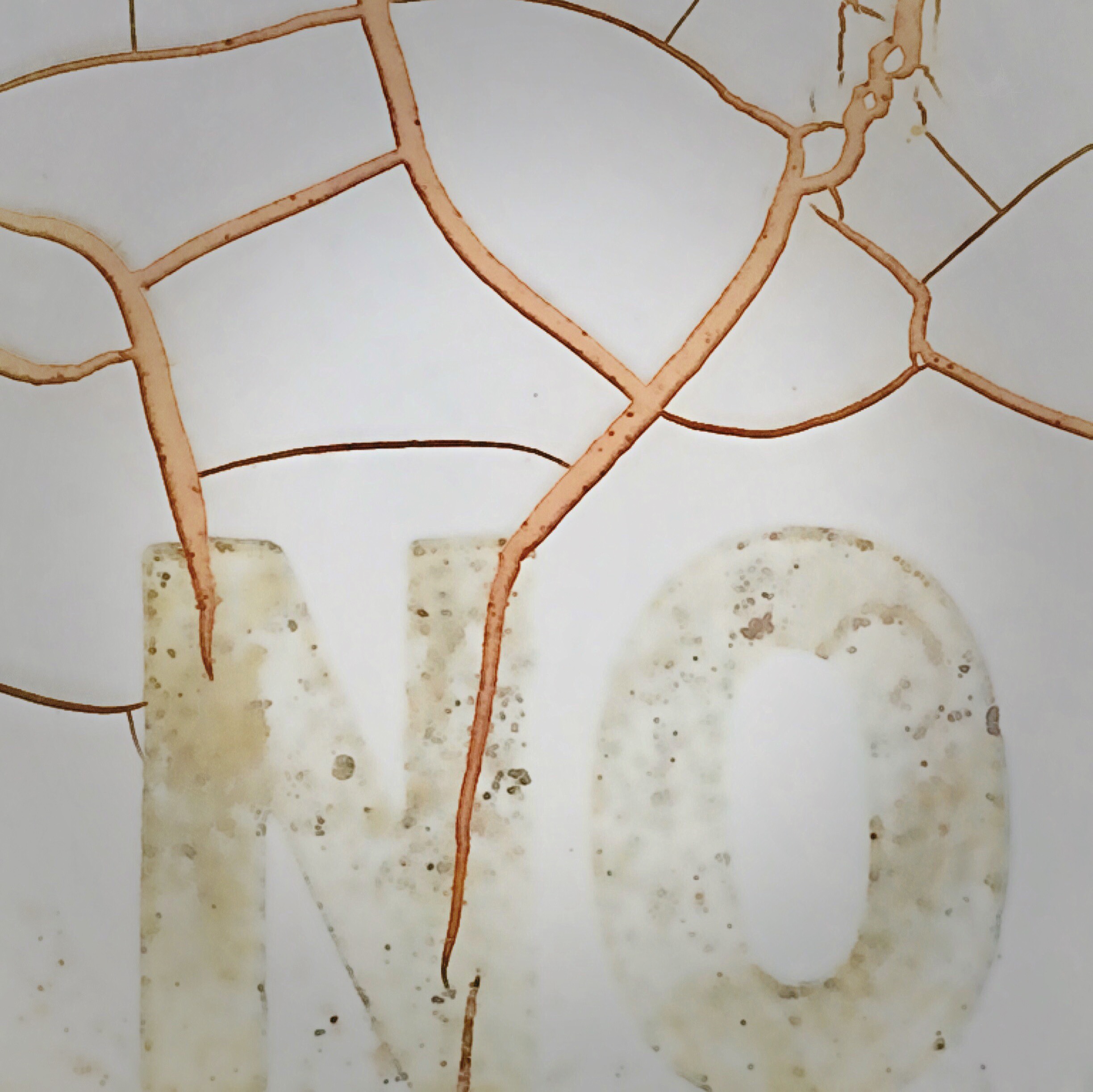 Tomorrow Never Comes – Joyce McCluskey Photography