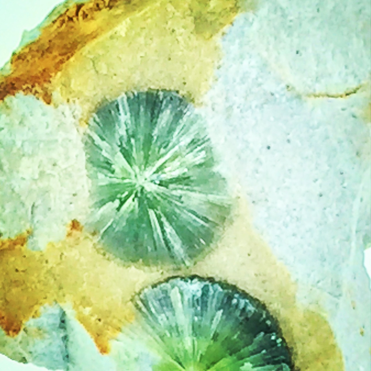 Tomorrow Never Comes – Joyce McCluskey Photography