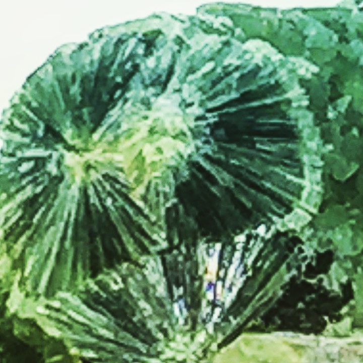 Tomorrow Never Comes – Joyce McCluskey Photography