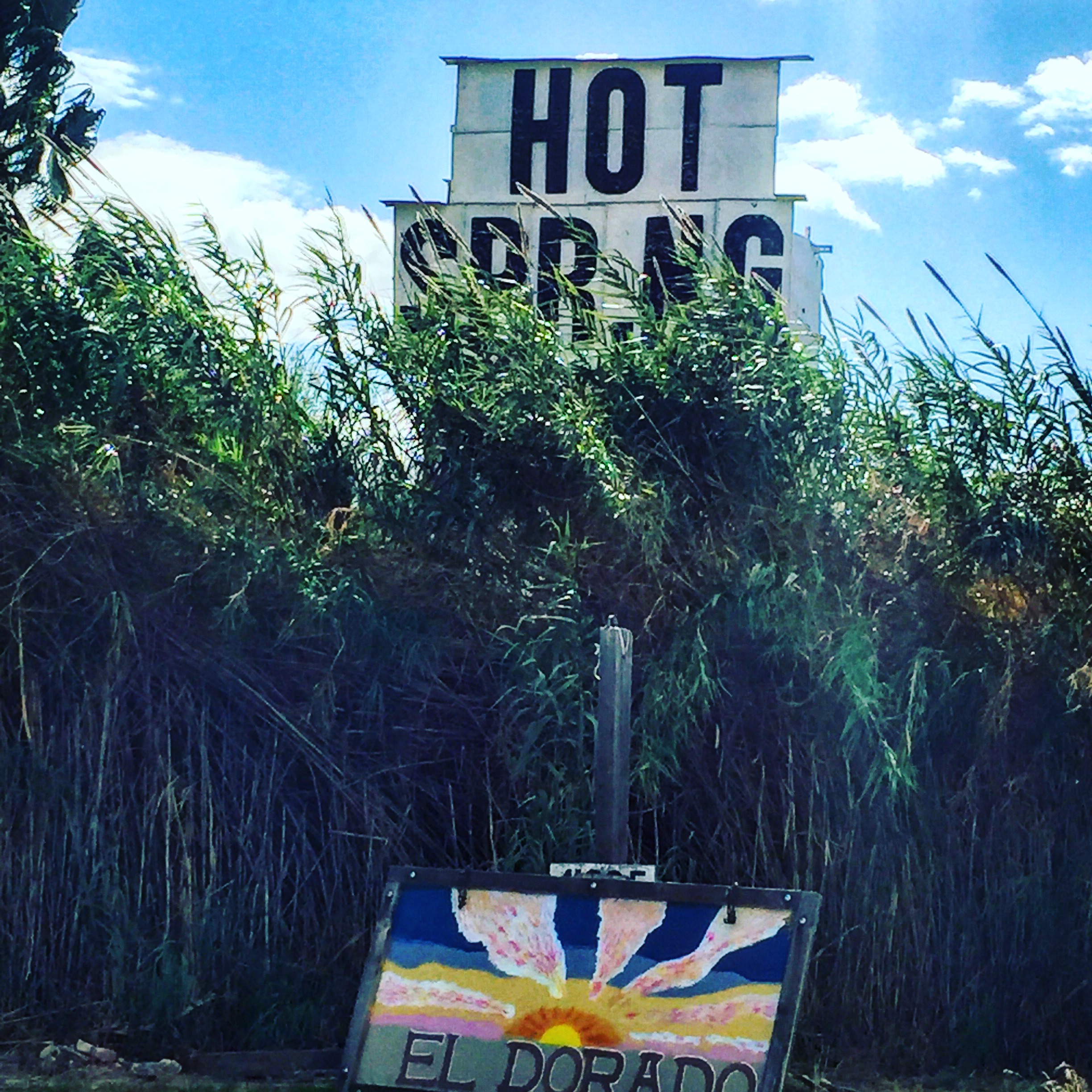 The Second Half Of My Life Will Be Swift – Joyce McCluskey Photography