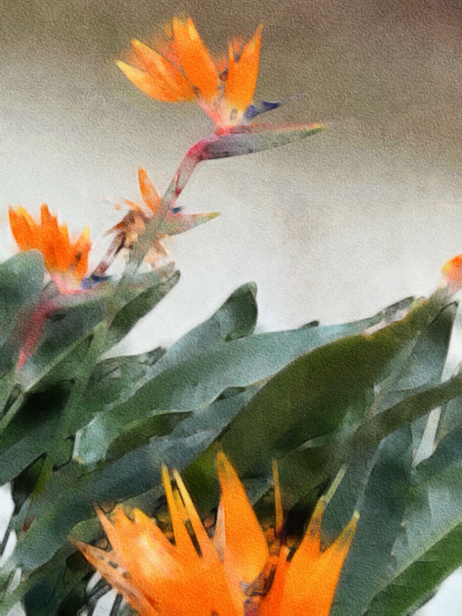 She Was An Open Book – Joyce McCluskey Photography